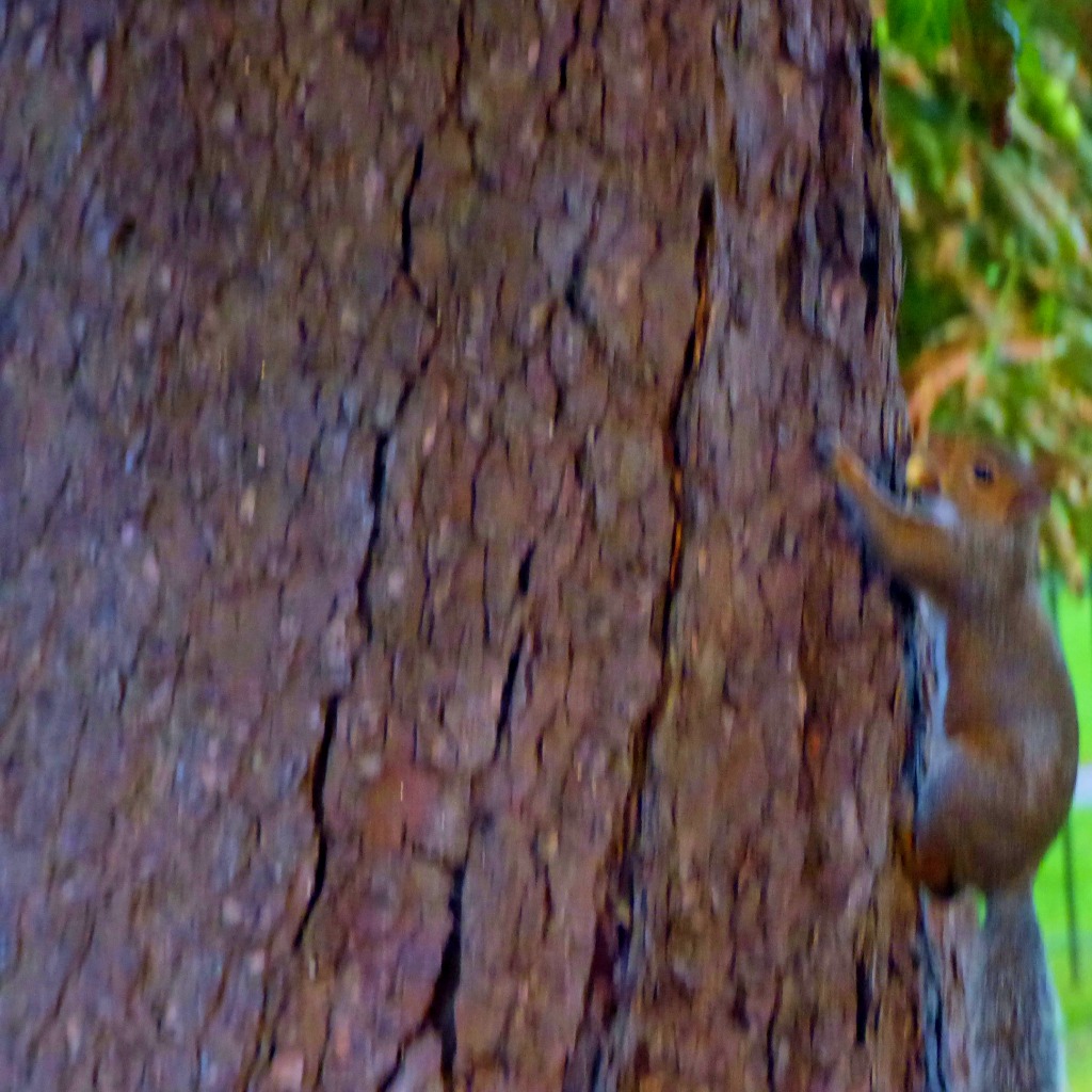 About Autism – aspiblog