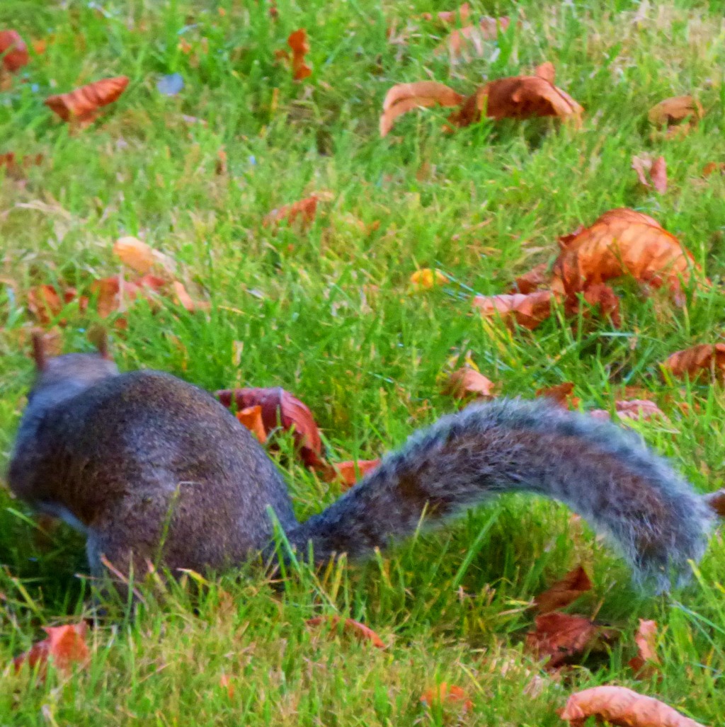 About Autism – aspiblog