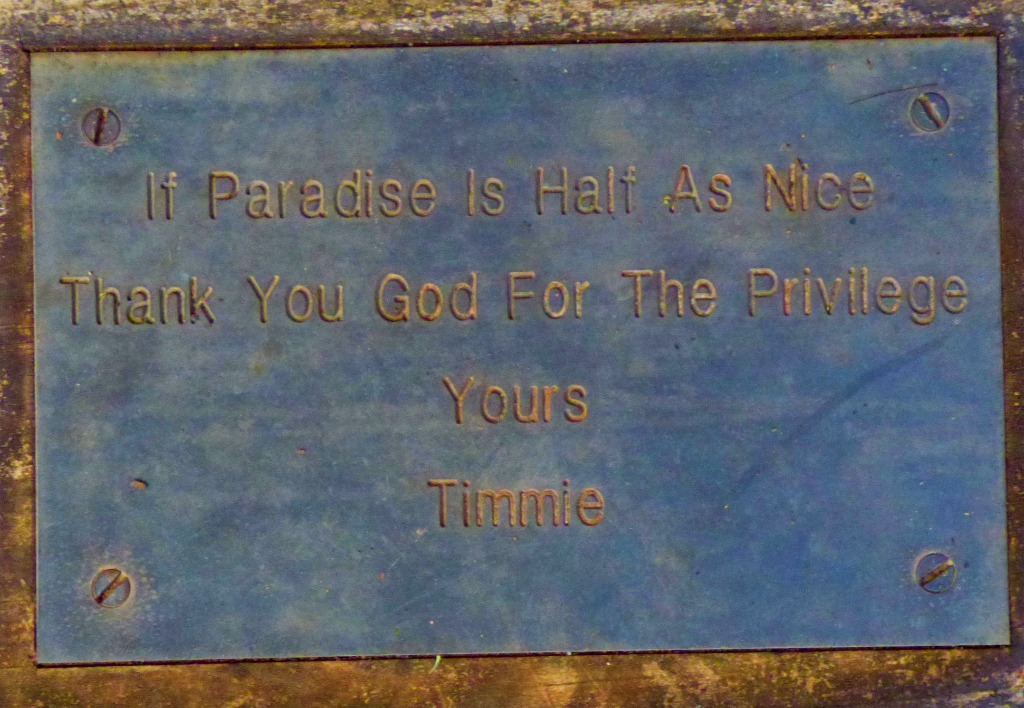 Timmie quote – aspiblog